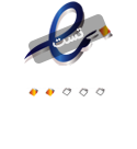 درباره ما - نیکا ماینر